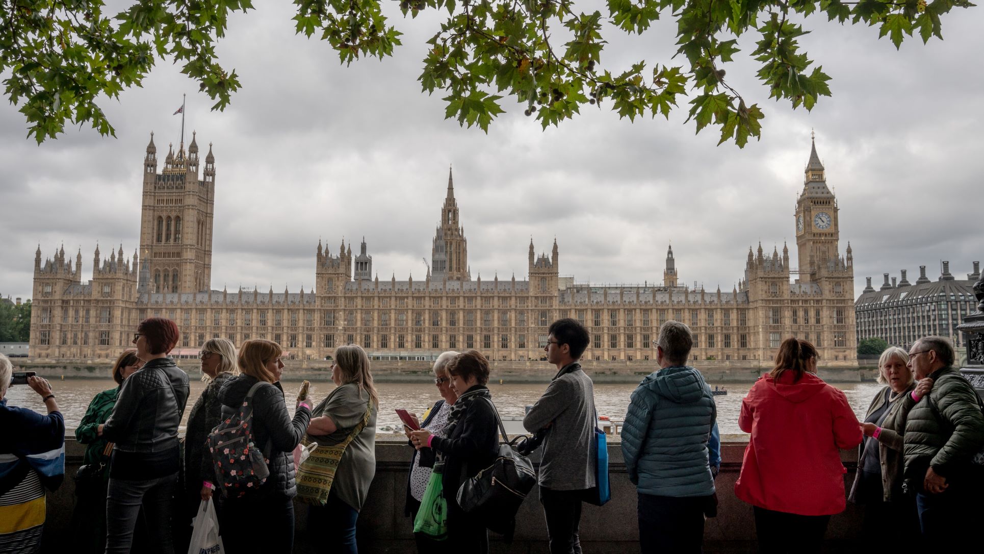 Every disease has its queuer | drjustincoleman